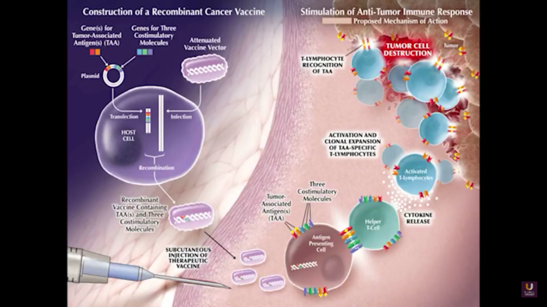 Dr. Raoul S. Concepcion | What's New in Immunotherapy? | Sipuleucel-T