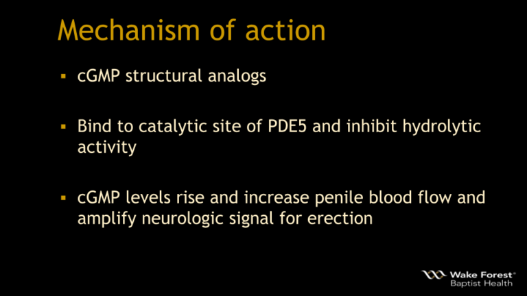 Dr. Ryan Terlecki | Erectile Dysfunction and Cardiovascular Health