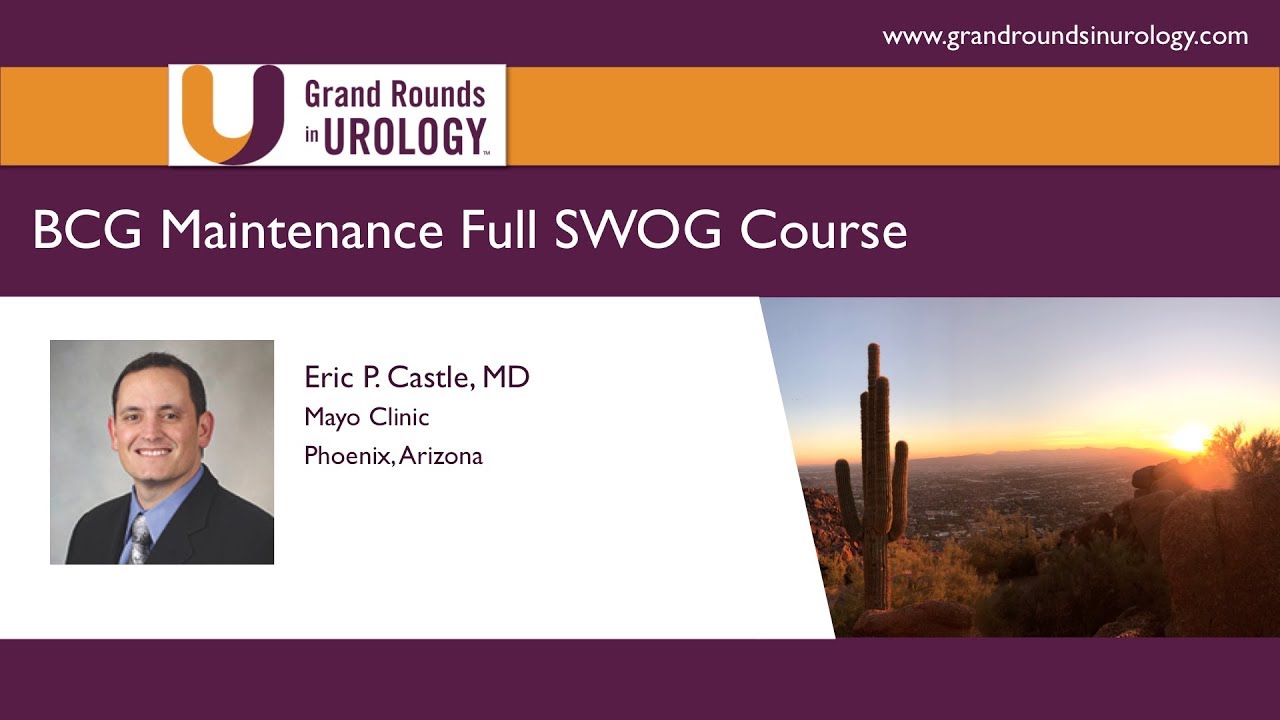 Erik P. Castle | BCG Maintenance Full SWOG Course Pro Argument