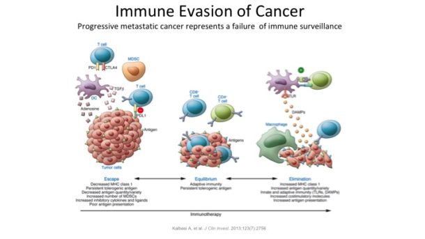 Leonard G. Gomella | Basic Concepts in Bladder Cancer Immunotherapy