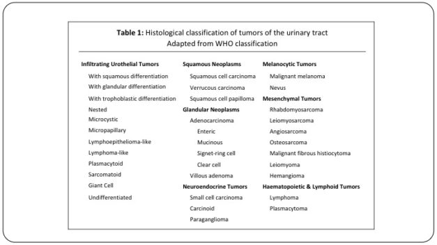 Should Variant Histology Change Management of Bladder Cancer?