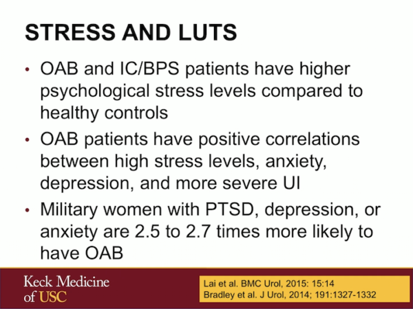 Larissa V. Rodriguez, MD | Stressing About the Bladder