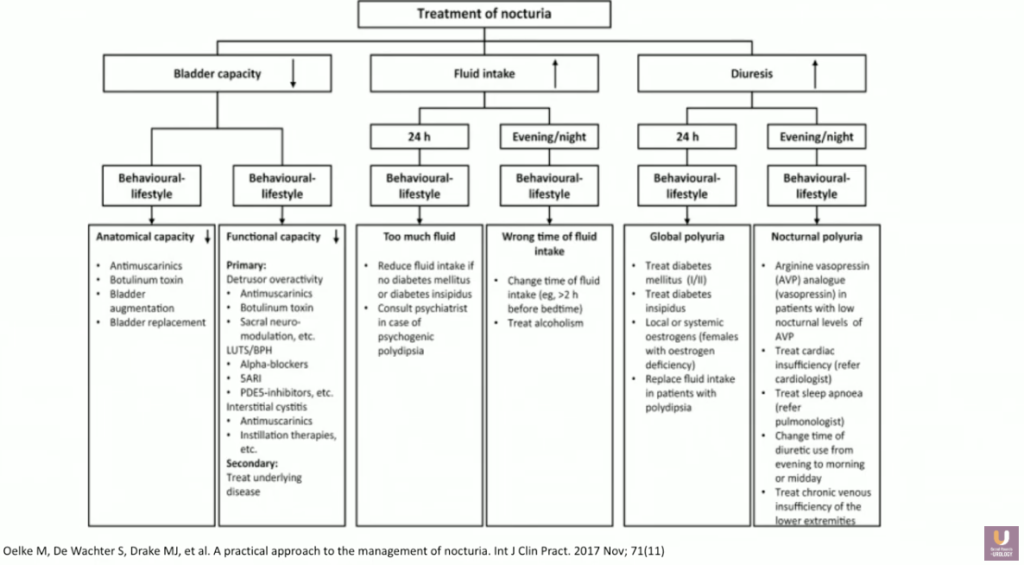 Matt T. Rosenberg, MD | New Treatment Options in LUTS