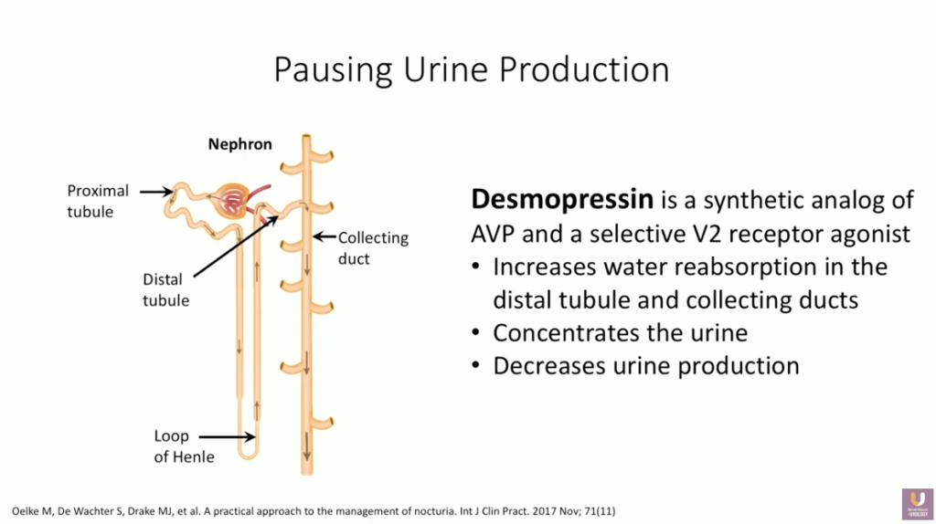 Matt T. Rosenberg, MD | New Treatment Options in LUTS