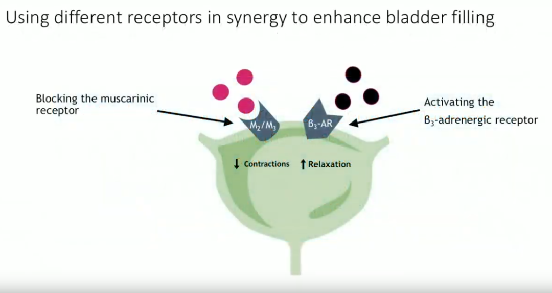 Matt T. Rosenberg, MD | New Treatment Options in LUTS