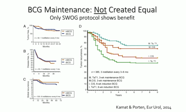 BCG Maintenance Should Be Less Intense | Michael S. Cookson