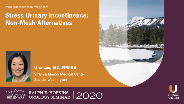 Stress Urinary Incontinence: Non-Mesh Alternatives | Video | Dr. Lee