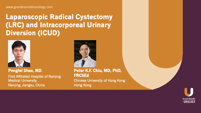 Laparoscopic Radical Cystectomy and Intracorporeal Urinary Diversion
