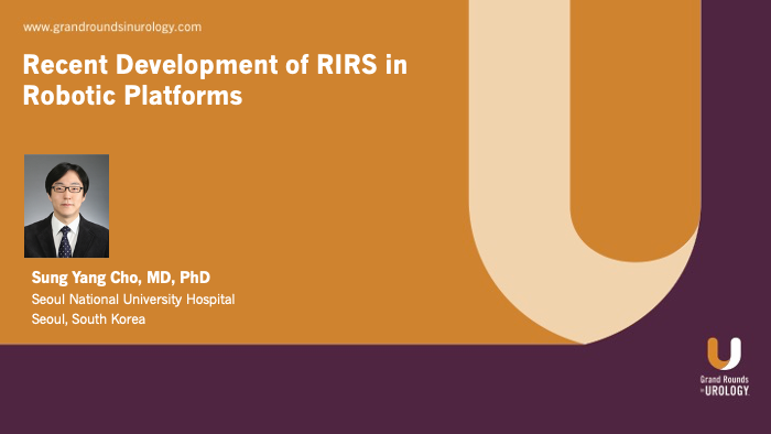 Recent Development of RIRS in Robotic Platforms | Dr. Cho