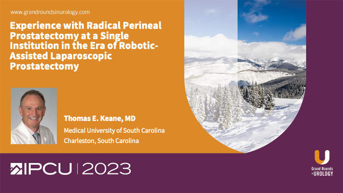 Experience with Radical Perineal Prostatectomy