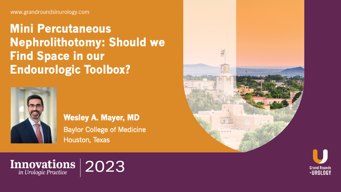 Mini Percutaneous Nephrolithotomy in Endourology
